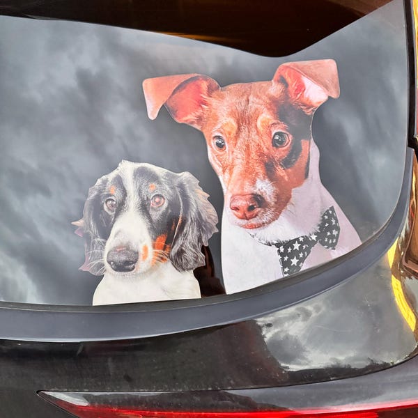 Custom Pet Sticker, Die-cut Dog Decals for Car, Cat Laptop Stickers ...