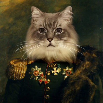 Customizable Pet Portrait of Prince Prince Pet Portrait From - Etsy