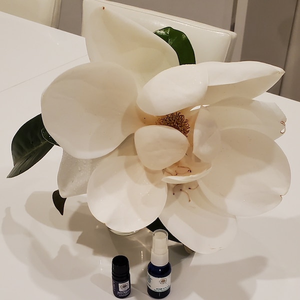 Foot Reflexology Chart Hebrew English Laminated 8 1/2x11in. Ideal for ...