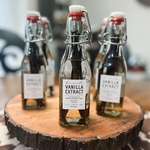 Graduation Return Address Label Template, Printable Class of 2024 ...