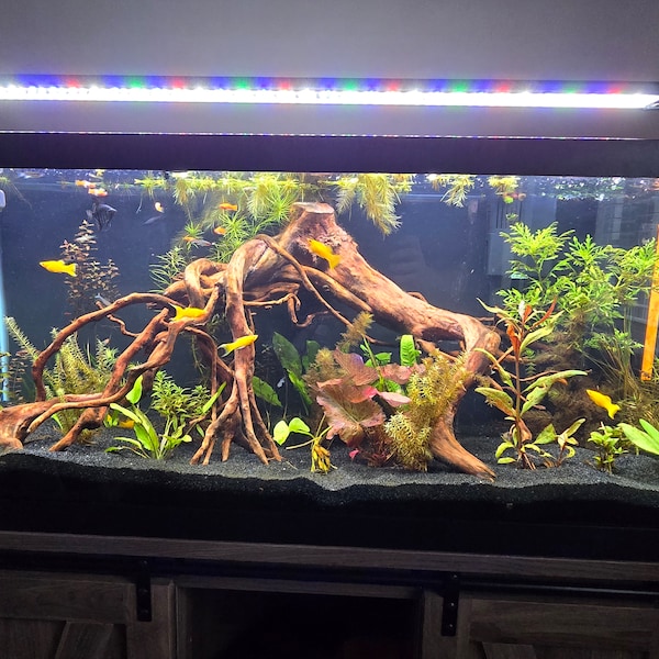 Hygger Programmable Light Riser, Attractive Stable Elevated Stand ...