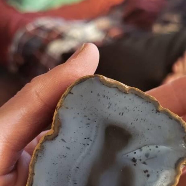 Fossil Tilly Bones - Bony Fish Pathological - Etsy