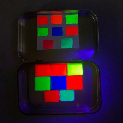 Texas Bluebonnet Collage Wall Art Print, Texas Hill Country, State ...