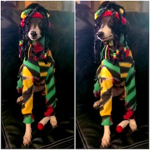 Rasta Hat, Rastafarian, Jamaican, Hats for Cats, Cat Costumes, Pet ...