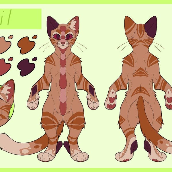 Hedgehog Reference Sheet Base - Etsy