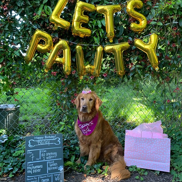 Lets Pawty Balloons Dog Birthday Party Puppy Birthday Party Decorations ...