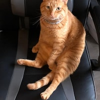 High Vibration Food Pyramid | High Frequency Food Guide | Healthy ...