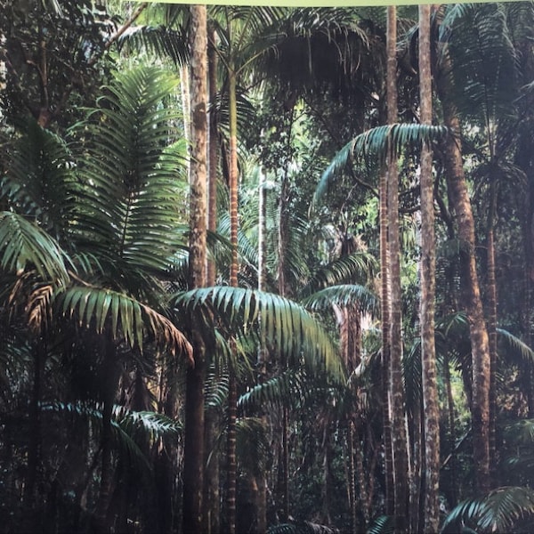Amazon Rainforest Tapestry,jungle Wall Tapestry,tropical Jungle ...