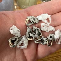 Human Skeleton HO Scale 1:87 Miniature for Horror Diorama, Dollhouse ...