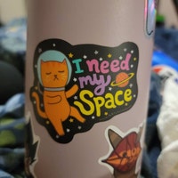 The Future is Bright, Cat Sticker, Glitter Vinyl Stickers, Fortune ...