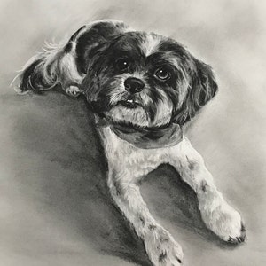 Pet Portrait Custom Charcoal Pet Loss Gift Dog Portrait Charcoal Pet ...