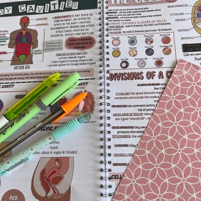 27 Anatomy and Physiology Revision Posters - Etsy