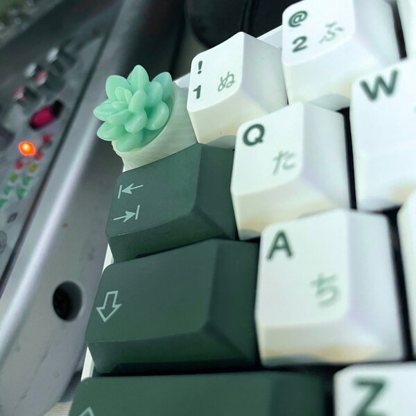 Succulent Plant Artisan Keycap Cherry MX Mechanical Gaming Keyboards - Etsy