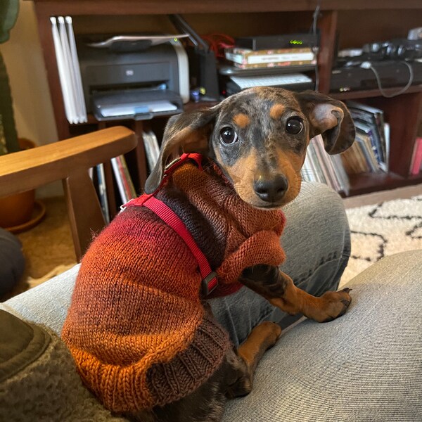 Dachshund Sweater - Dog Clothes - Dog Clothing - Dog Sweater ...
