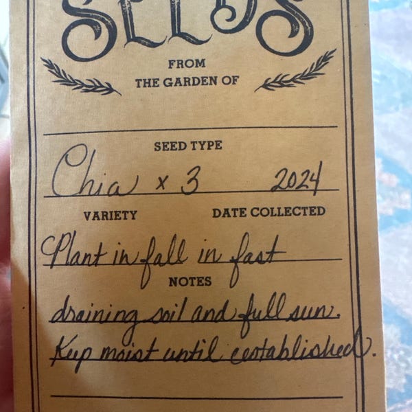 Chia Seeds|salvia Columbariae|california Native Plants|native ...