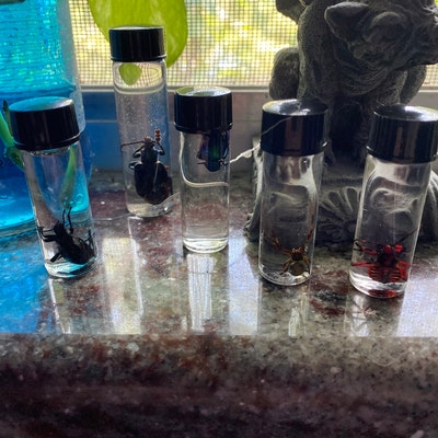 Wet Specimens REAL Mixed Lot of Assorted Specimens in Vials Collection ...