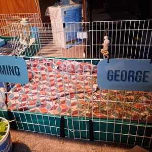 Rat Cage Tag Rat Cage Accessories Rat Name Tag Rat Cage | Etsy