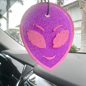 Pig Freshie/ Carfreshie / Farm Freshie/ Punchy Western/ Show Pig/ Car ...