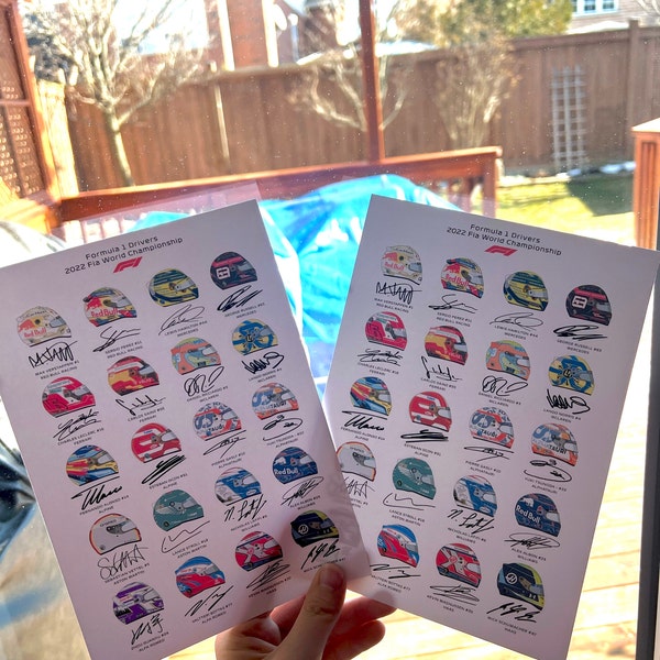 Pink Balloon Dog Poop Minimalist Art Print, Poster, Origins - Etsy