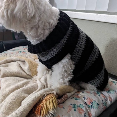 Ledger Sweater CROCHET Pattern Beginner Friendly Sweater for Dogs in 5 ...