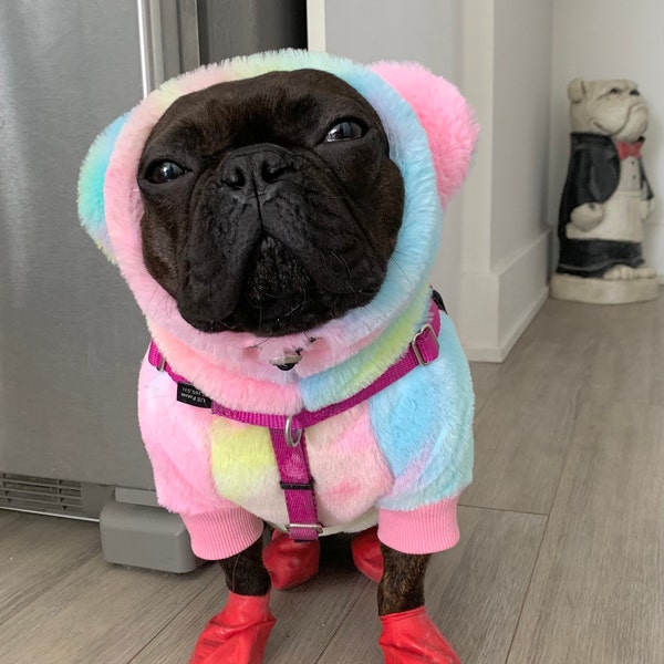 Frenchiestore Organic Dog Frenchie Ear Hoodie | Care Bear - Etsy