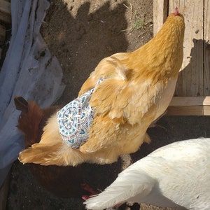 Chicken Diapers/ Hen Diapers/ Birds Diapers/rooster Diaper - Etsy