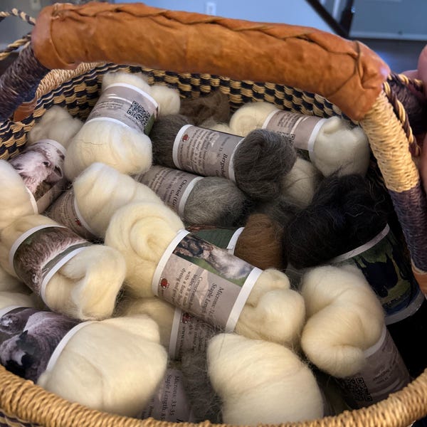 40 Sheep Breed Study Samples - Combed Top Wool Fibre - 1 Kilo - Etsy