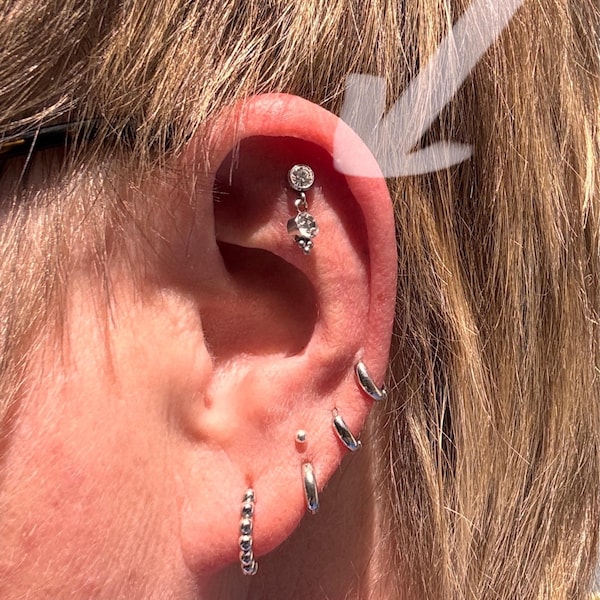 16G Abalone Shell Moth Septum Ring/hinged Segment Septum Clicker/daith ...