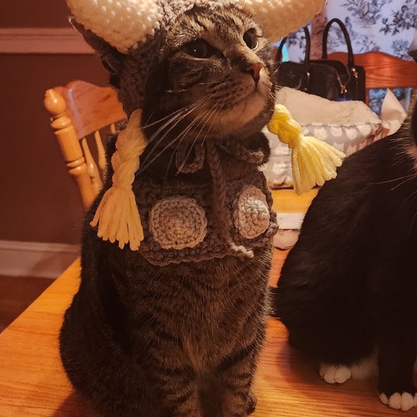 Brunhilde, Vikings, Valkyries, Wagner Opera, Hats for Cats, Pet Hats ...