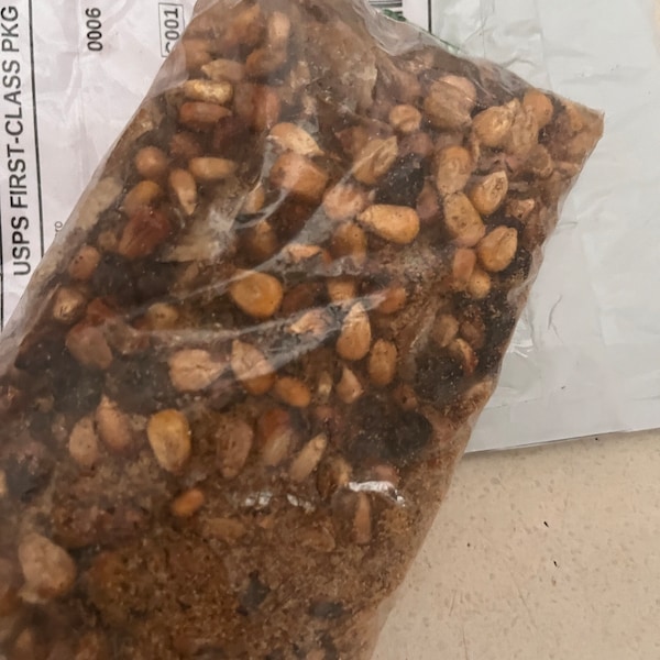 1/2 Lb Jutia Ahumada Pescado Ahumado Y Maíz Tostado Comida De Elegua ...