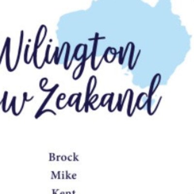 Fourth of July Gender Reveal Games, He or She, Gender Reveal Ideas ...