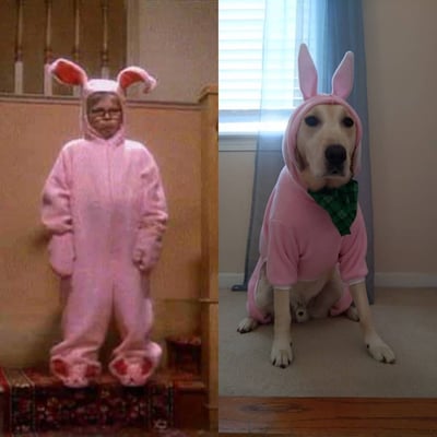 Pet Bunny Outfit Hooded Pajamas, Easter Bunny Costume, Pink.bunny ...