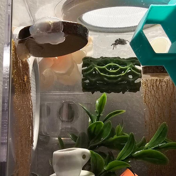 3D Printed Hollow Log Platform and Hide Jumping Spider Decor - Etsy