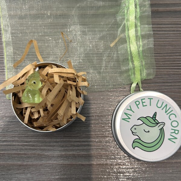 100 Duck Challenge Kit, Hide-a-duck Kit, Miniature Duck Scavenger Hunt ...