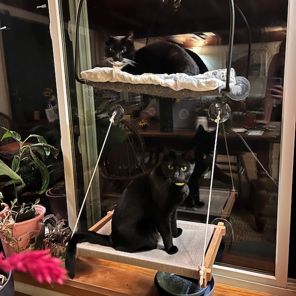 Cat Window Perch, Cat Window Hammock, Cat Window Ledge, Cat Window Bed ...