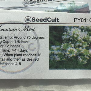 Pro Cut Lemon Sunflower Seeds, Helianthus Annuum HA1120 - Etsy