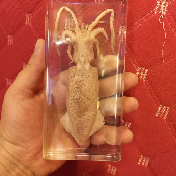 Natural Green Jade Qilin Pi Xiu Statue Feng Shui Wealth Office Desk ...