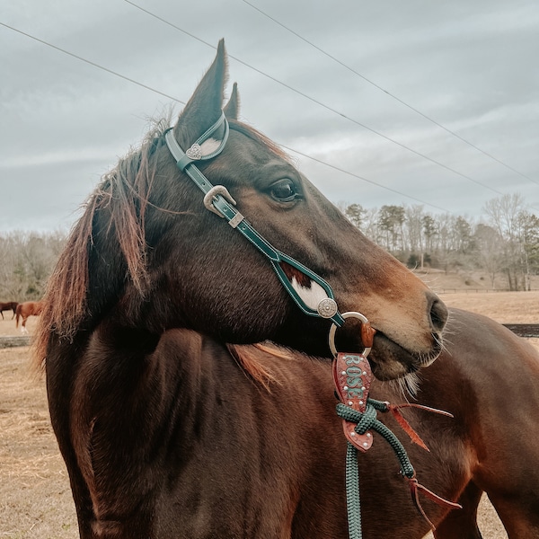 Mecate Reins & Slobber Straps - Custom Made to Order With Personalized ...