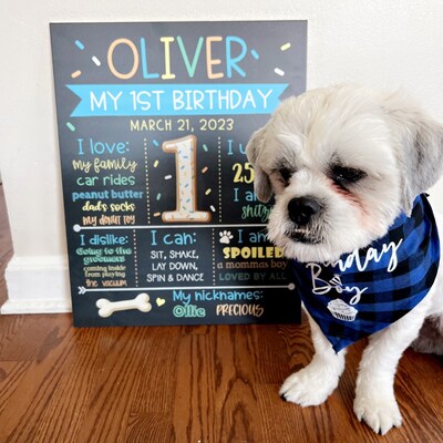 Dog First Birthday Sign, Puppy 1st Birthday Poster, Puppy First ...