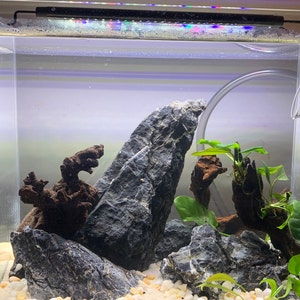 2-4 Gallon Nano Aquascape Decor SOUL CANYON Aquarium Dragon Rocks ...