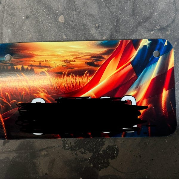 Minnesota ATV Plate, 4x7.50 3SH24 - Etsy