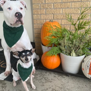 Toads and Mushrooms, toadally Fungi Cream Velvet, Forest, Reversible ...