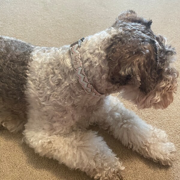 Pink Dog Leash, Herringbone Dog Leash, Girl Dog Leash, 6 Ft Pet Leash ...