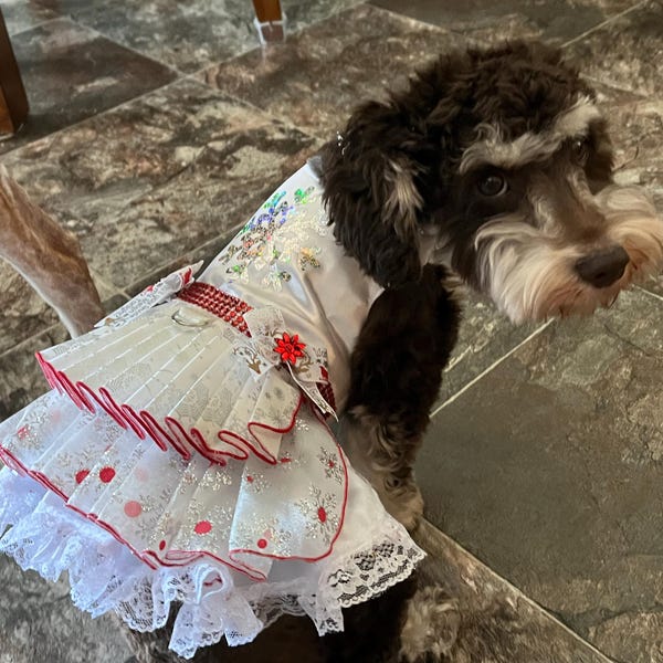 Dog Show Training Stack Box Toy Adult Size Stack Training 20" X 12 ...