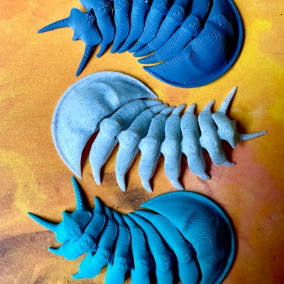 Flexi Snake Model and Fidget Toy - Etsy