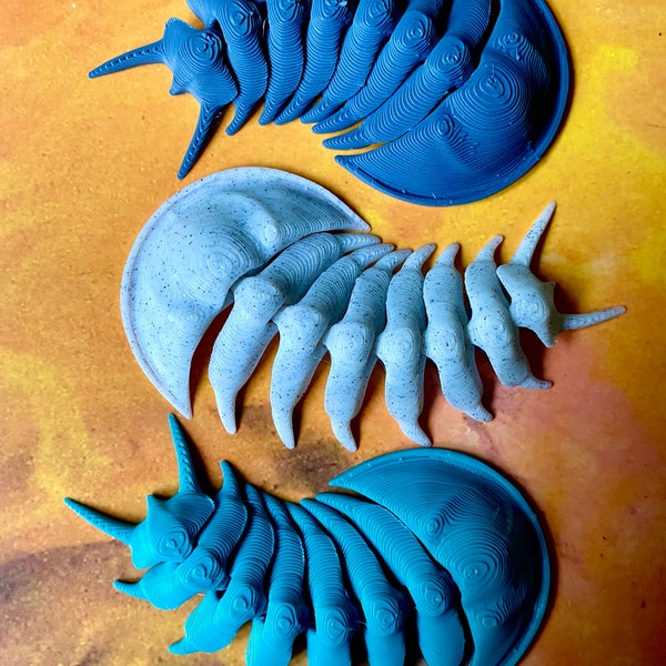 Flexi Snake Model and Fidget Toy - Etsy