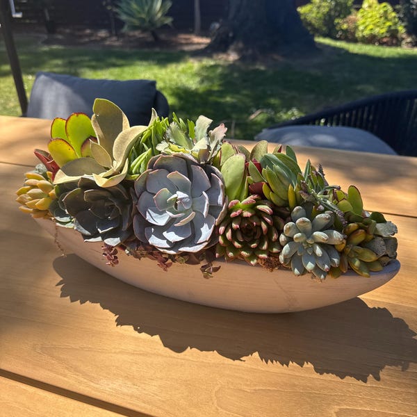 Cement Cube Succulent Arrangement Planter: Modern Living Succulent Gift ...