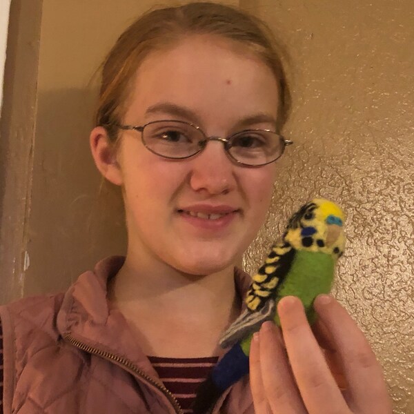 DIY Paper Budgerigar Craft, Instant Download PDF File / 'make It ...