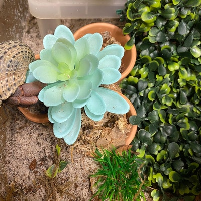 Happy Trail Mix - Etsy