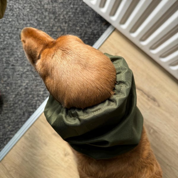 Cotton Dog Snood Handmade Summer Dog Snood Afghan Hound Snood Cocker ...